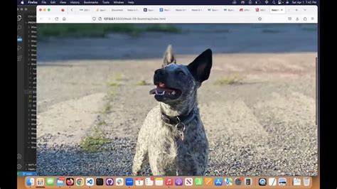 week 9 bootstrap coding assignment youtube