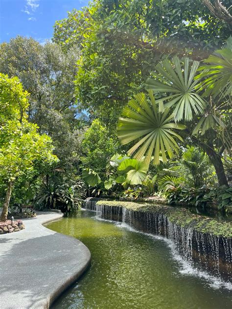 Botanic Gardens Singapore 🇸🇬 Singapore Garden Singapore Botanic Gardens Travel Aesthetic