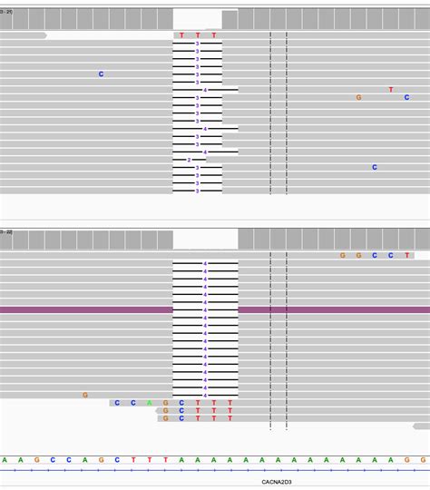 Feature Request Indicate Deletion Or Insertions Issue Xjtu Omics Msisensor Pro Github