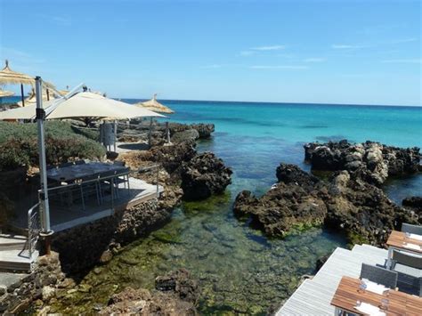 Restaurant El Mansourah Kelibia Restaurant Avis Numéro De Téléphone