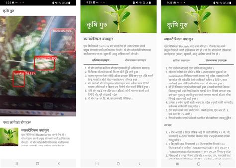 Figure 11 From Deep Learning Based Tomato Disease Detection And Remedy Suggestions Using Mobile