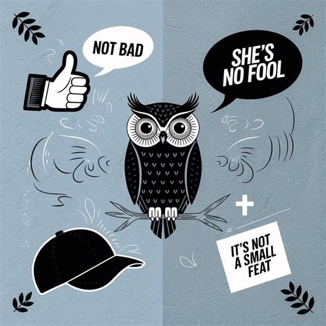 Understanding Litotes Definition And Examples Explained