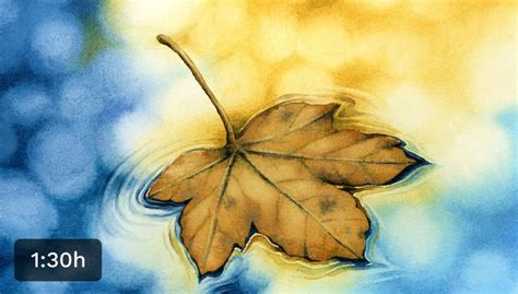 Floating Objects In Water