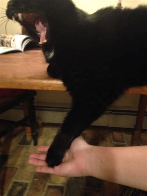 Yawning High Five Scrolller