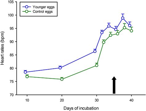 Heart Rates Y Axis For The Entire Incubation Period X Axis For Download Scientific Diagram