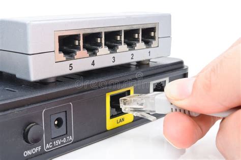 Connect The Cable To The Network Switch Stock Photo Image Of Modem Internet
