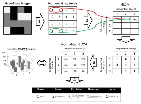 Explanation Of The Calculation Of Texture Features From A Grey Level Download Scientific