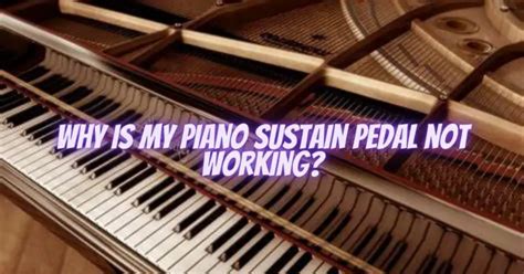 Why Is My Piano Sustain Pedal Not Working All For Turntables