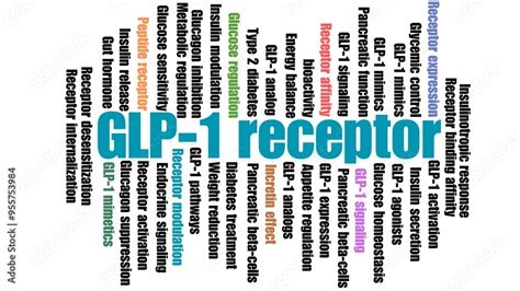 Understanding Glp 1 Receptor The Science Behind Diabetes Control The Role Of Glp 1 Receptor In