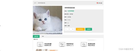 [附源码]计算机毕业设计java网上宠物商店 计算机网上宠物店 csdn博客