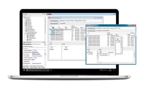 Delphi Rio 1033 Danysoft