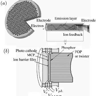 A Schematic Of MCP Structure B Schematic Of Gen Image Download Scientific Diagram