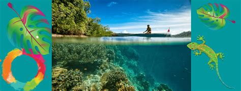 Sustainable Tourism Ecomauritiusmu