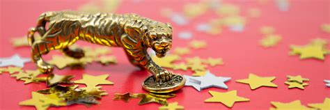 동전과 호랑이의 청동 그림 붉은 배경에 중국 새해 2022의 상징 금과 은별 복사 공간 0명에 대한 스톡 사진 및 기타 이미지 Istock