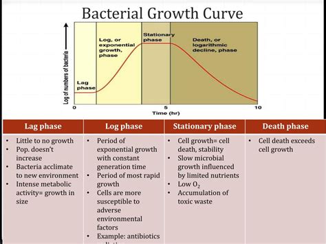 Microbial Growth Bacterial Growth Curve Ppt