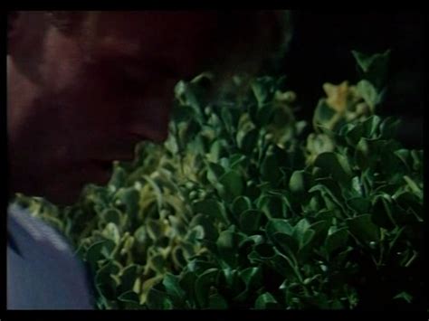 John Holmes Vs Rocco Siffredi Streaming Video On Demand Adult Empire