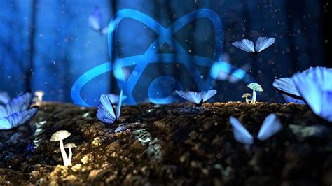 Javascript Fundamentals Before Learning React