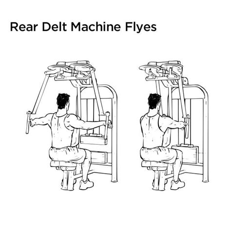 The 25 Best Rear Delt Exercises For Epicly Strong Shoulders Radical