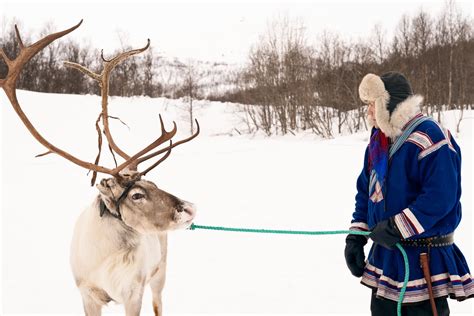 Meet The Sami Norways Indigenous Reindeer Herders
