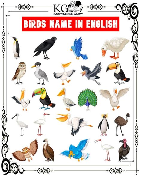 Flying Birds Names With Pictures A Flock Of Birds Flying Over A Body