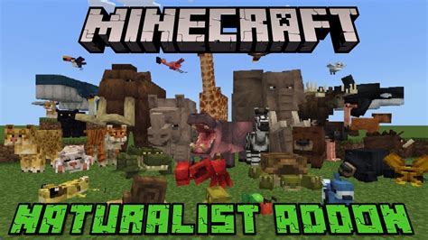 Playing With The Naturalist Addon In Minecraft Youtube