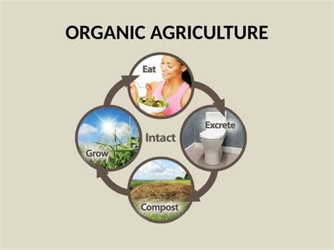 Organic Agriculture Production Review Pptx