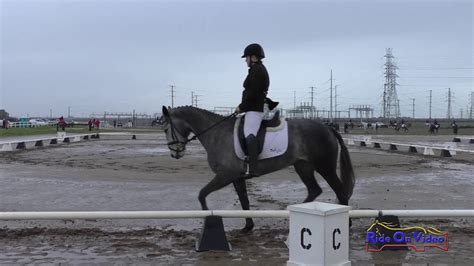125d Ashley Shrader On Absolut Steal Sr Training Dressage Fchp February 2019 Youtube