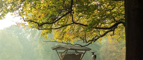 Tip Watch Out For Mutable Default Arguments In Python Dev Community