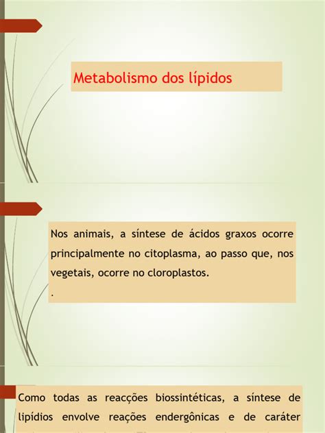 Metabolismo Das Proteinas 022426 Pdf Proteínas Biossíntese