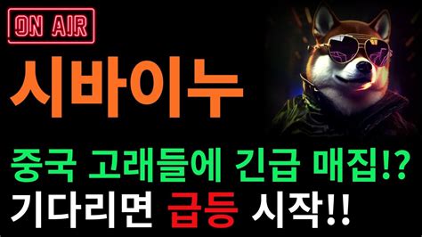 시바이누 중국 고래들에 긴급 매집 급등 시작 합니다 Youtube