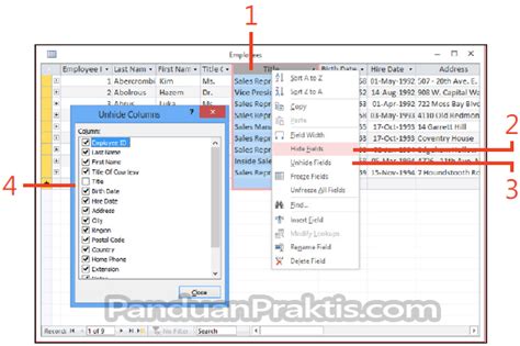 Cara Hide Dan Unhide Kolom Di Ms Access Lab Wisnu