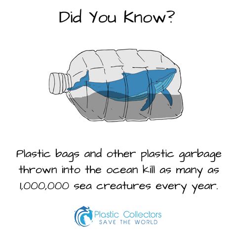 Essay On Plastic Pollution In English Plastic Pollution Essay Environment Artofit