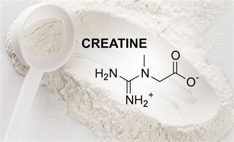 Do You Need To Cycle Creatine A Complete Guide Sportcoaching