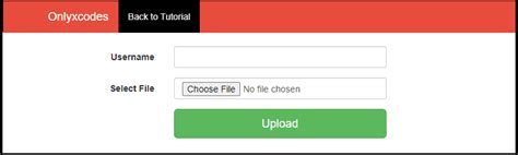 How To Upload An Image To A Database Using Php Pdo Onlyxcodes