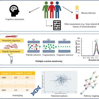 Schematic Representation Of The Workflow Download Scientific Diagram
