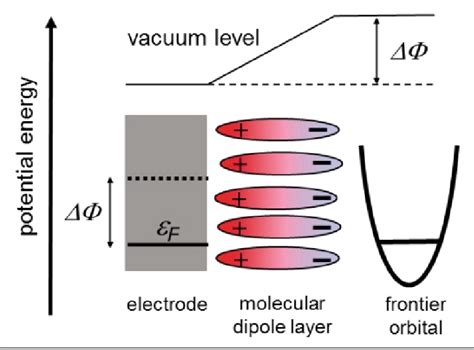 Schematic Drawing Of Energy Level Alignment Between The Fermi Level ε F Download Scientific