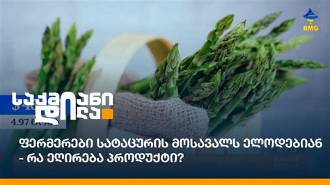 ფერმერები სატაცურის მოსავალს ელოდებიან რა ეღირება პროდუქტი Youtube