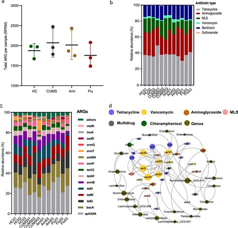 Antibiotic Resistance Gene Analysis Via Metagenomics Sequencing A