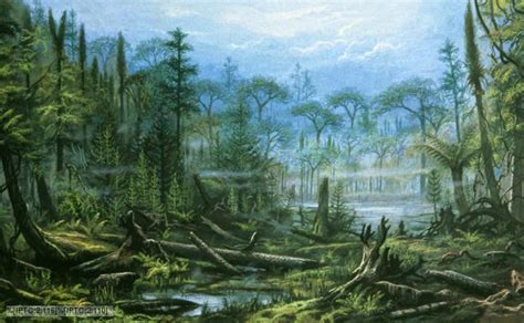 Bbc Nature Carboniferous Period Videos News And Facts