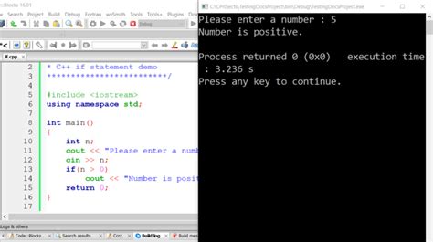 C If Else Statement Testingdocs