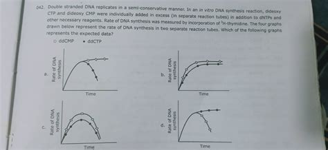 Solved 42 Double Stranded Dna Replicates In A