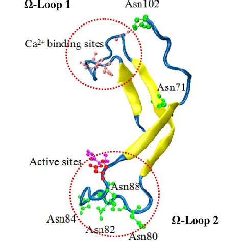 Crystal Structure Of Porcine Trypsin Visualized By The Visual Molecular Download Scientific