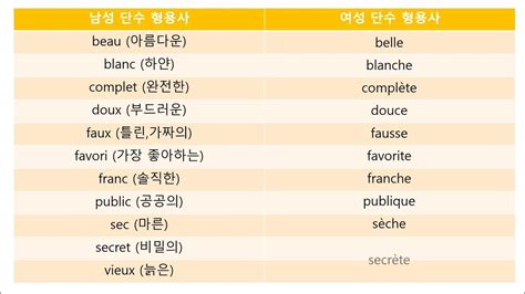 프랑스어 기초 문법 불규칙 남성 여성 형용사 Youtube