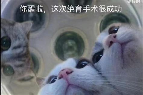 半佛仙人表情包10月22日程序员能干一辈子 知乎