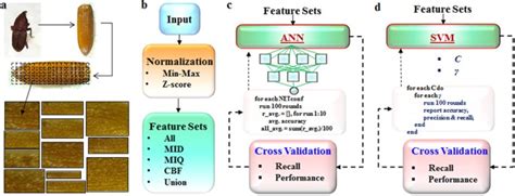 Comparing Svm And Ann Based Machine Learning Methods For Species Identification Of Food