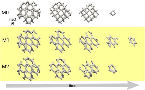 Evolution Of The Dislocation Networks For The Three Cases M0 M1 Download Scientific