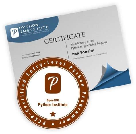 Python 程序员证书备考班 小枇杷网校