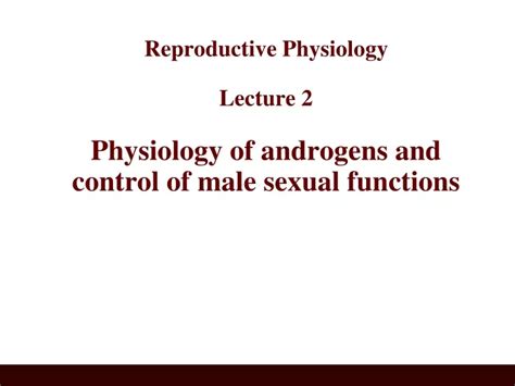 Ppt Reproductive Physiology Lecture 2 Physiology Of Androgens And