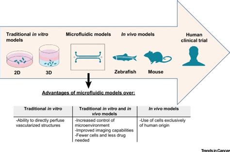 Microfluidics A New Tool For Modeling Cancer Immune Interactions Trends In Cancer