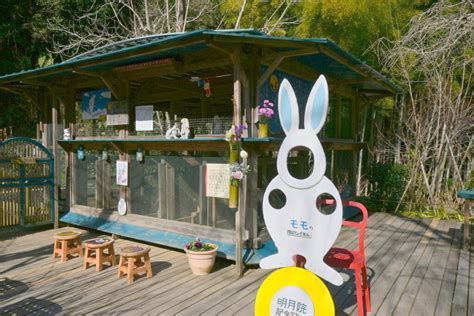 ウサギとカメがお出迎え 明月院 かまふち